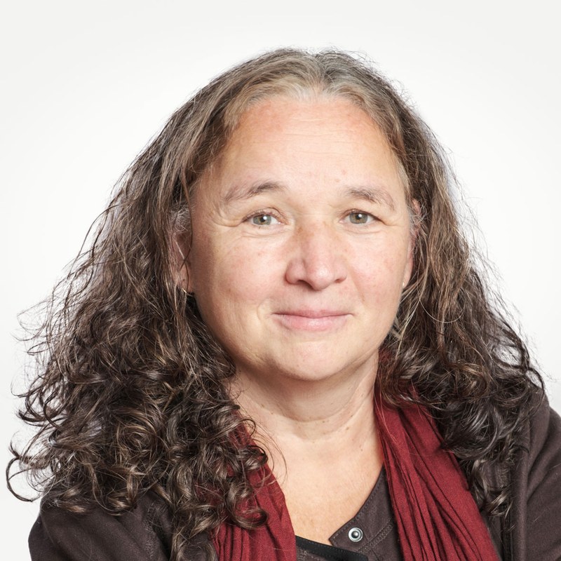 Prof. Dr. Susanne Prediger - Leibniz Institute for Science and ...